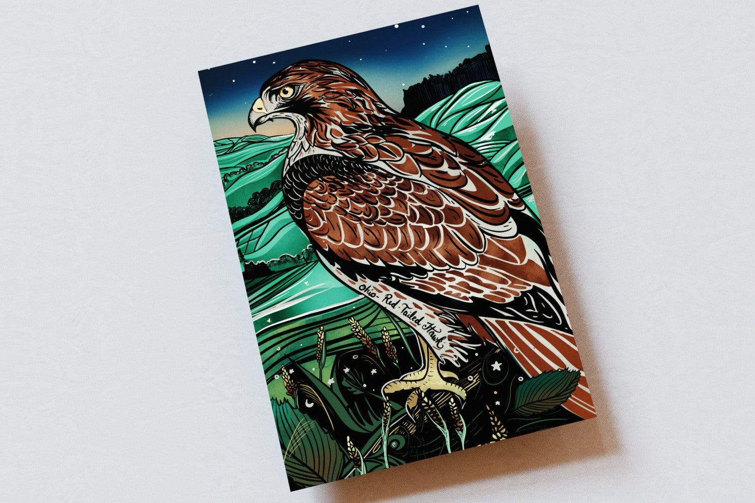 Wildlife of the US Postcards - Ohio - Red Tailed Hawk – MN John
